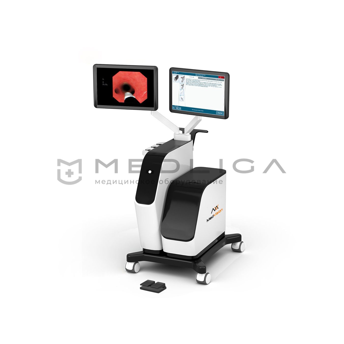 Симулятор эндоскопии MedVision EndoVision - купить в Москве по выгодной ...