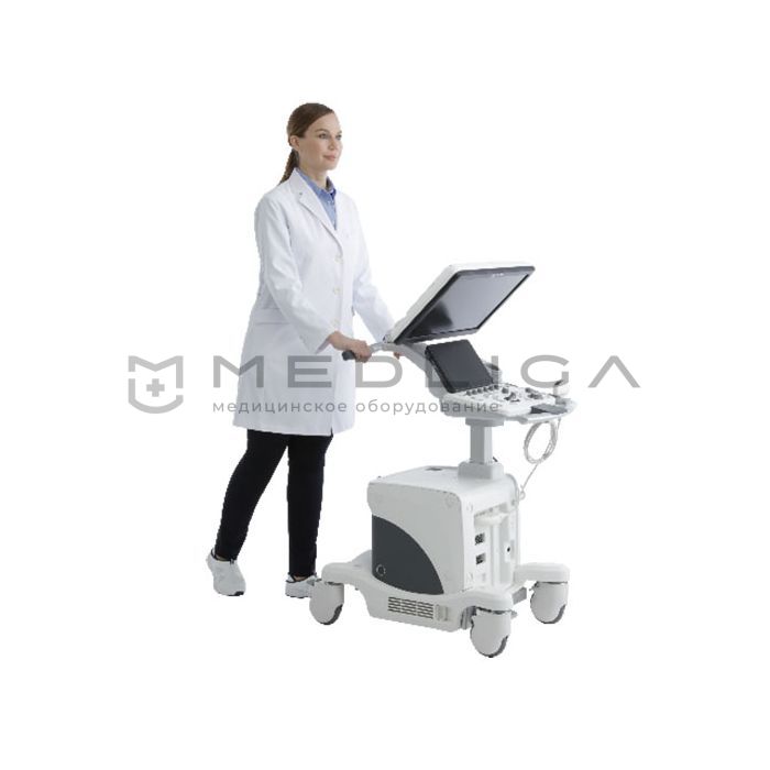 УЗИ аппарат Fujifilm (Hitachi) Arietta 50 / 50LE - купить в Москве по ...